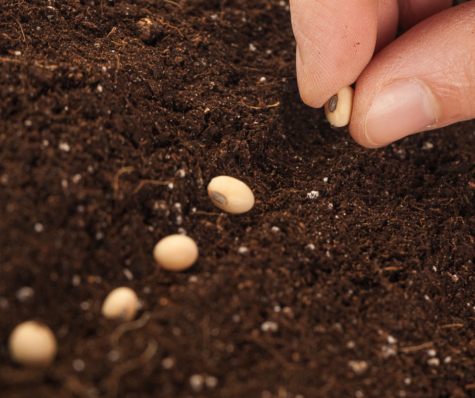 Home - Phillip Jensen