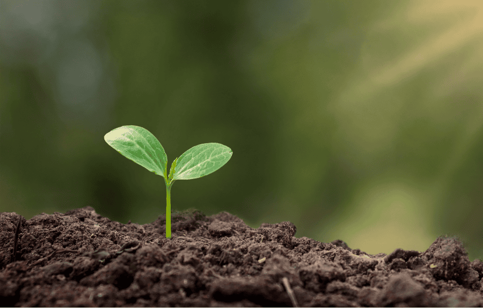 Home - Phillip Jensen